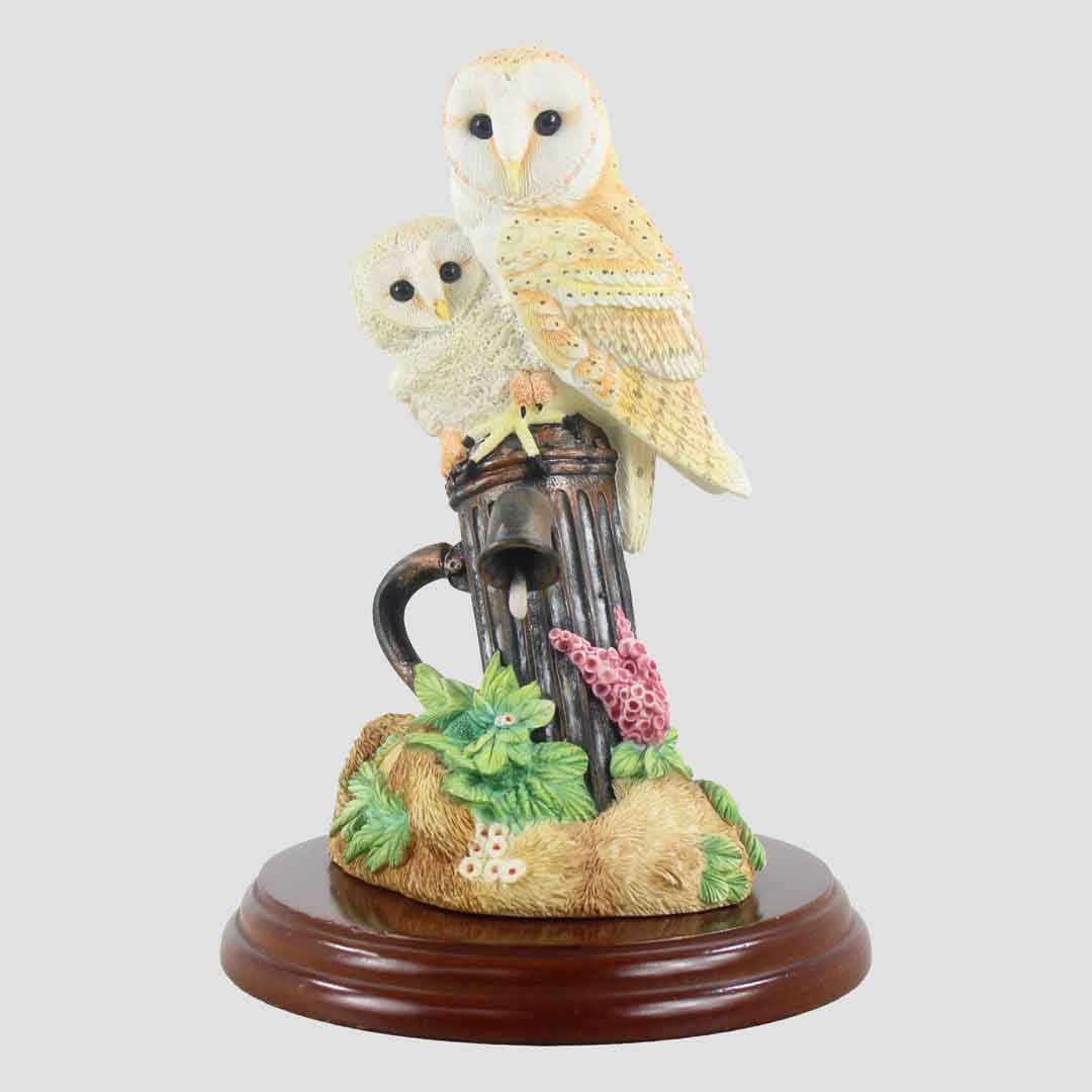 Barn Owl And Chick On Water Pump Border Fine Arts – Grays 1922 Ltd