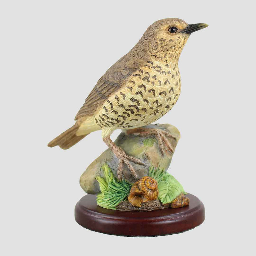 Bird Models – Grays 1922 Ltd