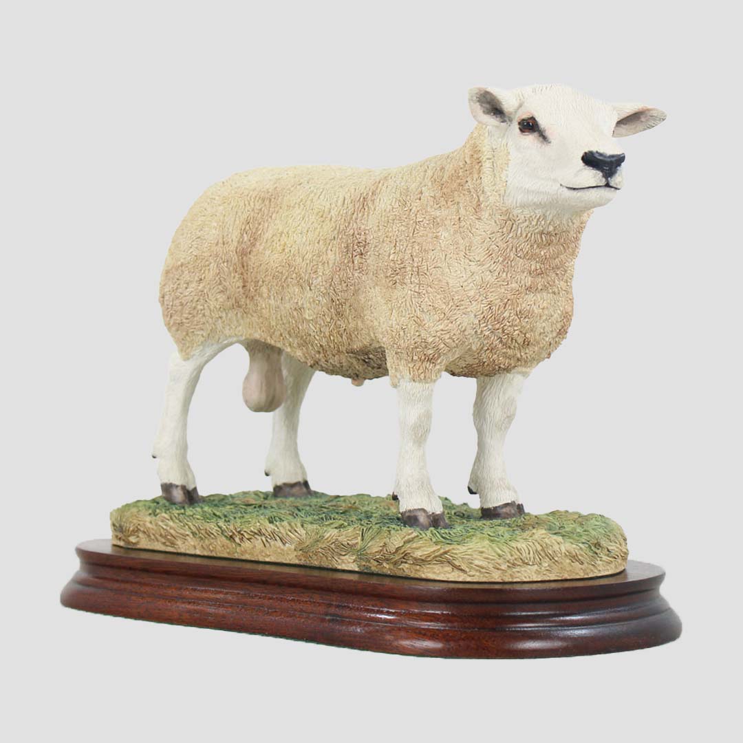 Texel Ram Style Two Border Fine Arts – Grays 1922 Ltd