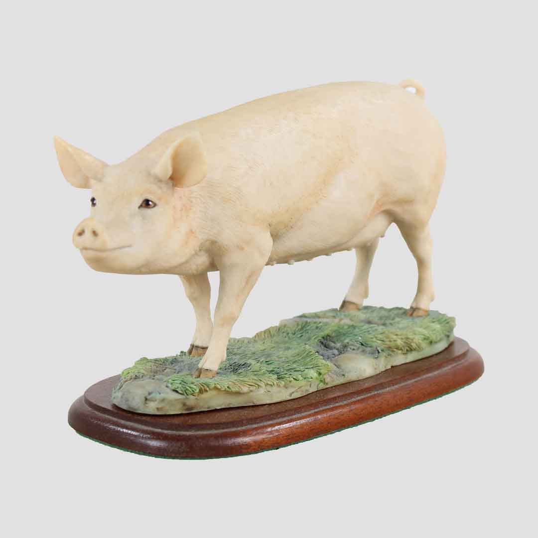 Sow Border Fine Arts Pig – Grays 1922 Ltd