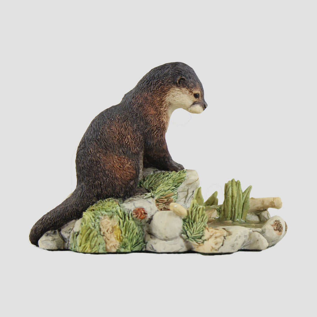 Reflection Border Fine Arts Otter – Grays 1922 Ltd