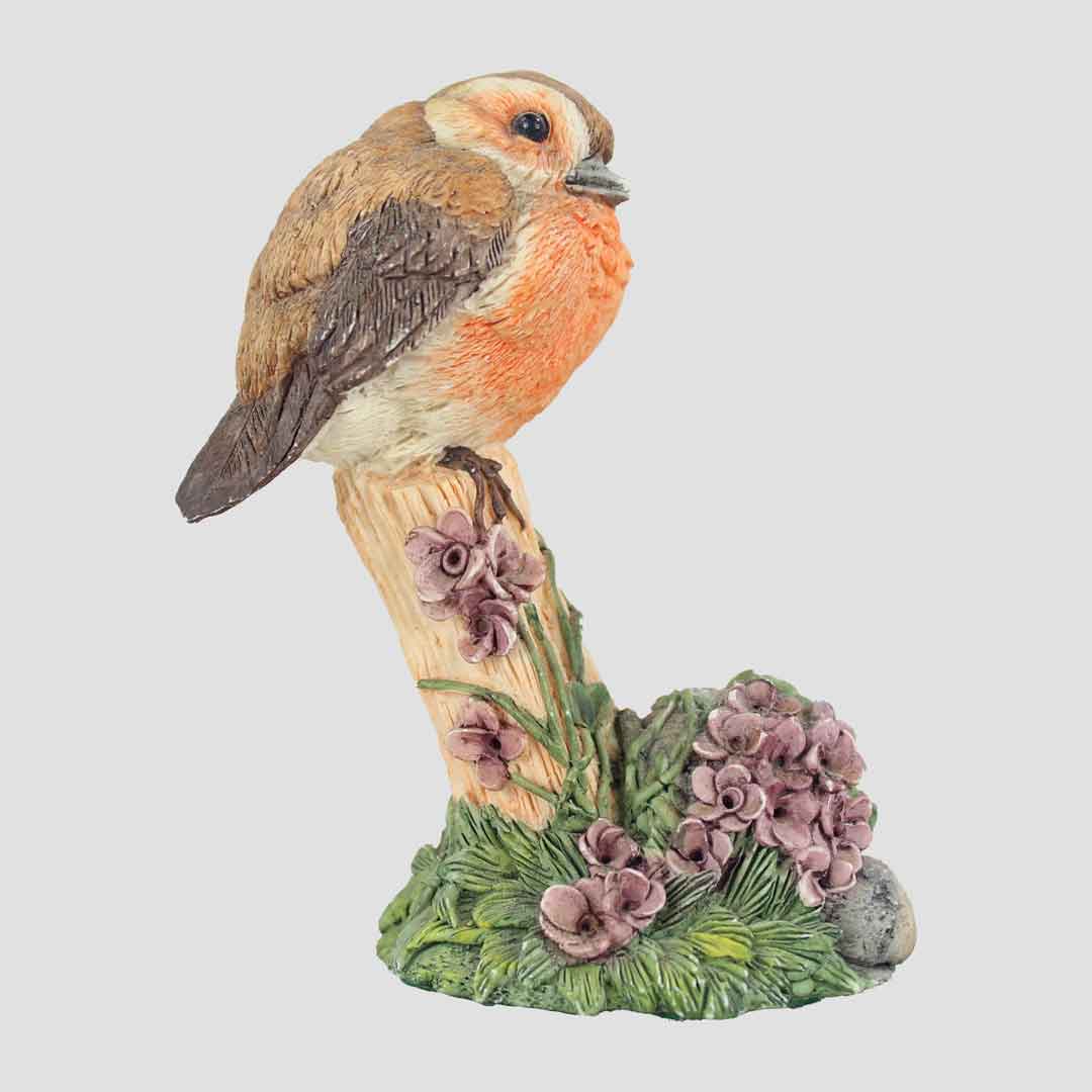 Baby Robin Border Fine Arts Birds – Grays 1922 Ltd